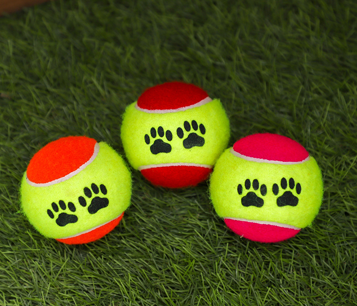 Welcome to WALLS Pets: Elevating Pet Playtime with Premium Toys